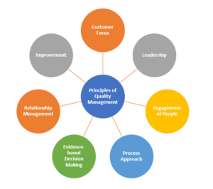 7 Core Principles of Quality Management